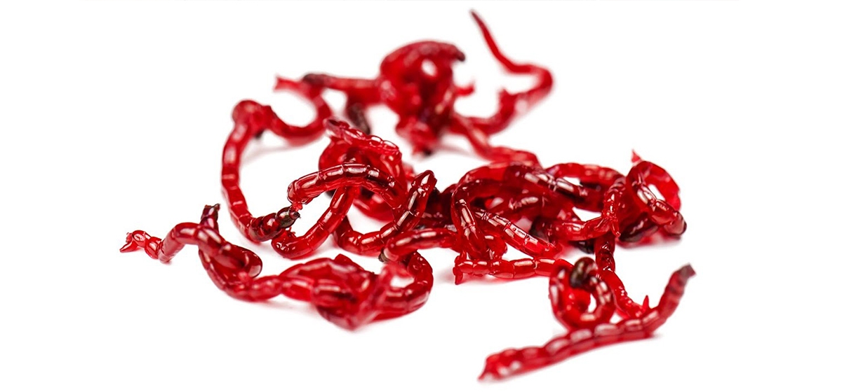 Würmer im Pool – wie wird man sie los und wie kann man ihrem Auftreten ...